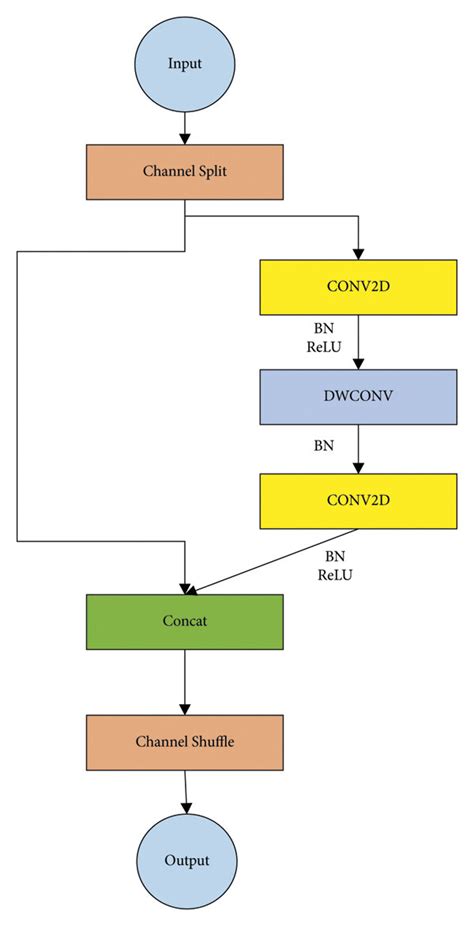 The Workflow Of The Shufflenetv2 Model Download Scientific Diagram