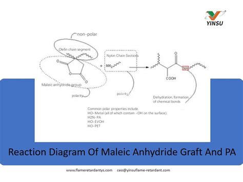 Polyolefin Modification Technology Preparation Principle And Application Of Maleic Anhydride