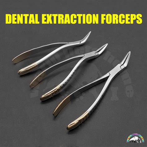 Jual Dental Extracting Forceps Upper Lower Jaw Extraction Forceps Teeth Plier Dental Tool Dental