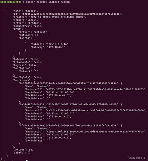 零基础 用docker搭建hadoop集群hadoop Docker Csdn博客