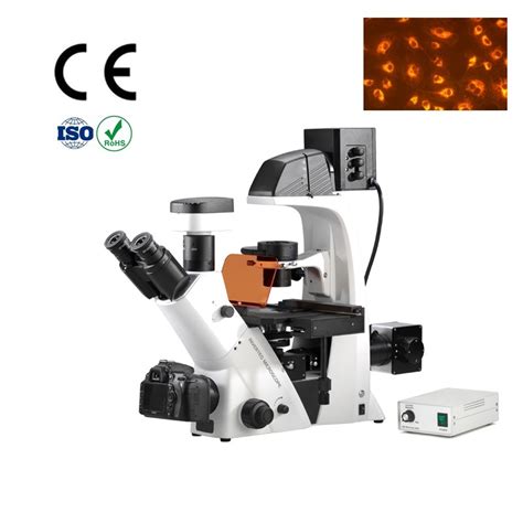 Bds500 Fl2led Inverted Fluorescence Microscope With 3 Holes Fluorescent