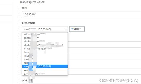 jenkins添加linux节点并创建任务 jenkins新增节点 csdn博客