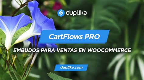 Cartflows Pro Embudos Para Ventas Duplika