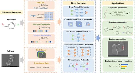 A The Basic Structure Of The Model Of Dnns 58 The Input Data X Ii∈n