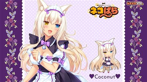 Nekopara Phone Coconut Wallpapers Wallpaper Cave
