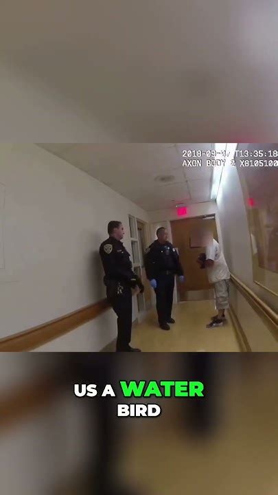 Shorts Ytshorts Fyp Trending Crime Youtubeshorts Youtube Viral Bodycam Truecrime Usa