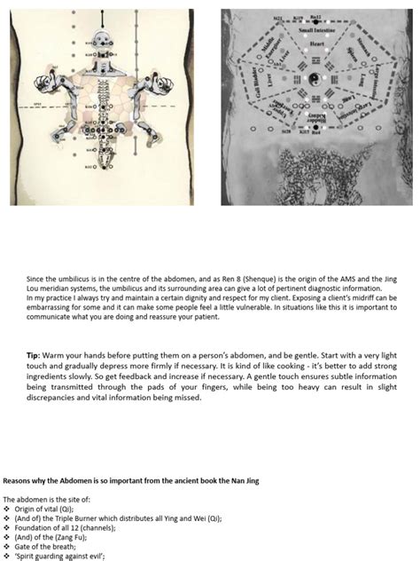 Abdominal Acupuncture Diagnosis Techniques Pdf Abdomen Meridian
