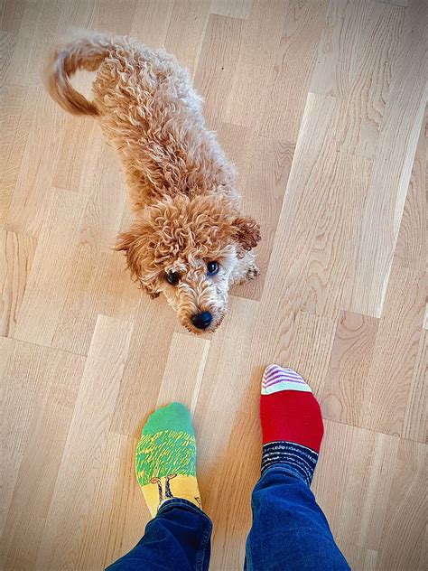 Verdensdagen For Downs Syndrom Kjetil Nilsen