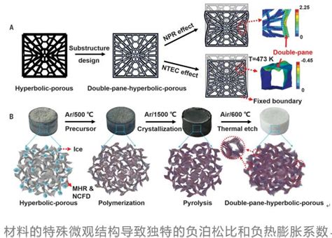 东南大学科研团队在《科学》发表研究成果