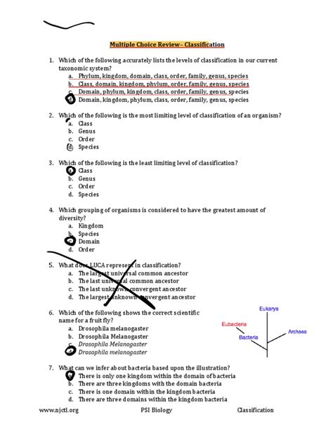 Classification Multiple Choice Self Assessment Practice Test 1juc9so