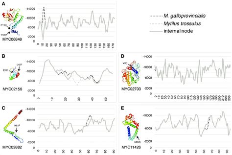 Protein Structure Predictions Based On Searches Using The Protein Download Scientific Diagram