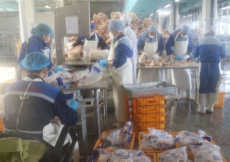 Нийслэлд энэ сарын 11 нд нөөцийн мах худалдаанд гарна