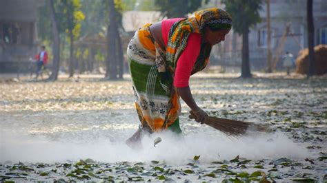 Gender Intersectionality And Climate Action
