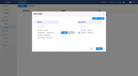 编码规则 主数据管理平台