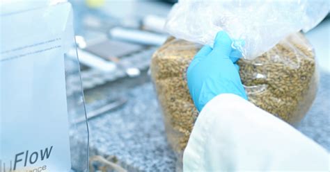 Physical Technological And Chemical Parameters