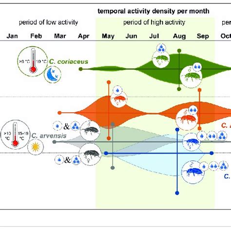 Schematic Summary Of The Results To Show Potential Niche Partitioning Download Scientific