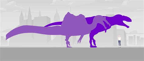 Carcharodontosaurus Size Comparison
