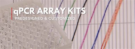 Explore Sciencell Qpcr Array Kits Genetics And Genomics