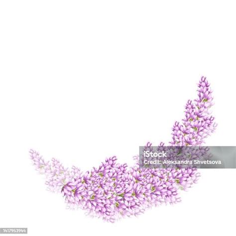 손으로 그린 라벤더 꽃 수채화 보라색 라벤더 프레임 보더 스크랩북 디자인 타이포그래피 포스터 초대장 라벨 배너 및 카드 0명에 대한 스톡 벡터 아트 및 기타 이미지 Istock