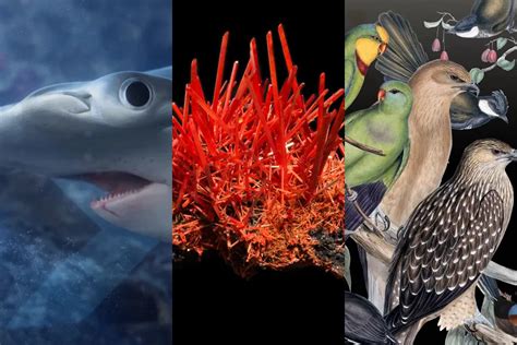 Projects The Interaction Consortium