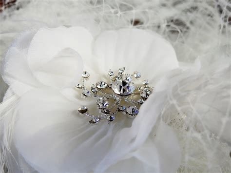 무료 이미지 화이트 꽃잎 의류 혼례 웨딩 드레스 지도 데코 보석류 배경 장식적인 엽서 다이아몬드 보석 달린 머리 장식 겉옷 얻다 꽃다발 신부