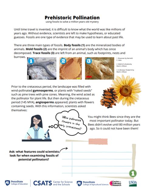 DIY Plant Fossils The Center For Pollinator Research