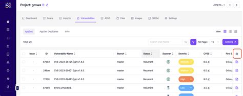 Appsec Vulnerabilities