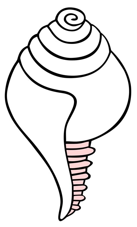 Tortoise Shell Drawing Free Download On Clipartmag