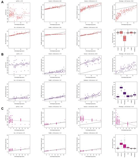 Dna Methylation Based Age Estimation In Pediatric Healthy Tissues And