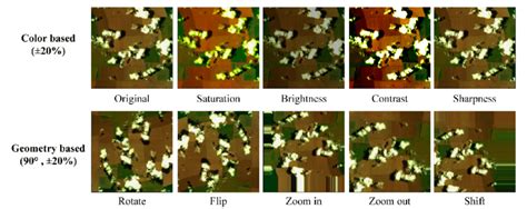 Data Augmentation Based Color And Geometry Transformation Download