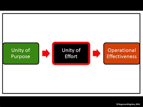 7 The Fundamental Principle Of “unity Of Effort” In Multinational