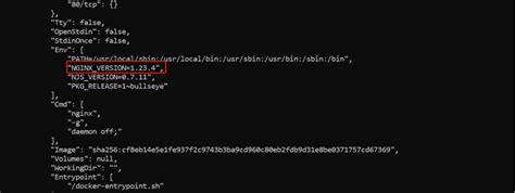how to update a docker image cherry servers