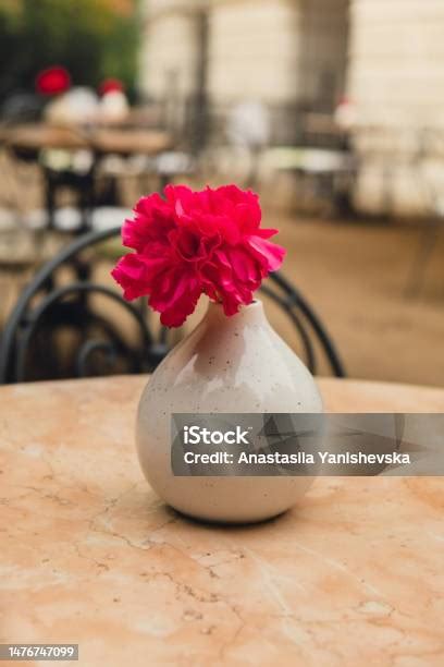 야외에 빈 테이블이 있는 길거리 카페 테이블과 빈티지 의자에 꽃병이 놓여 있다 카페 레스토랑의 외관 꽃 카페 테이블 커피하우스가 있는 아늑한 거리 관광 휴가의 개념 0명에