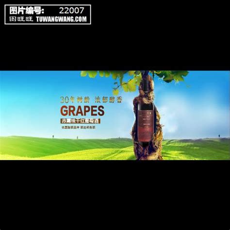 大气创意红酒葡萄酒淘宝海报模板下载 编号：22007电商横版海报批发零售图旺旺在线制图软件