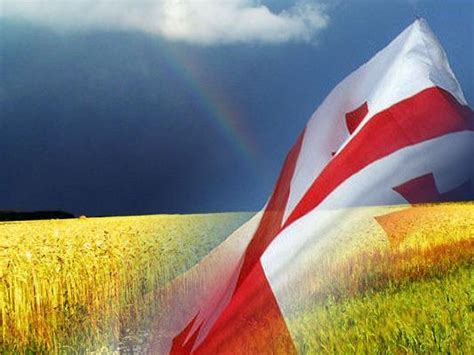 Україна та Грузія обговорили питання імпорту добрив посольство — АГРОПОЛІТ