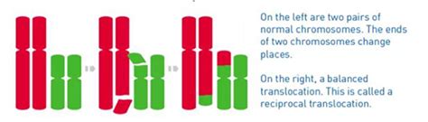 公司新闻 傻傻分不清的基因组变异类型（下）