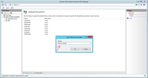 Asp Net How To Set Startup Page In IIS Stack Overflow