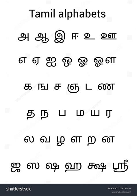 Translationtamil Alphabets Vowels Consonantseasy Learn Tamil Stock Illustration 2066748893