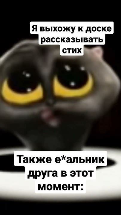 Мемас с тик тока Shorts мем мемы скибиди черныйкот кот стих друг Youtube