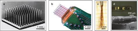 A Summary Of Shallow Penetrating Probes Of Various Form Factors A