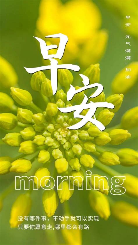 早安心语2022年8月8日 问候 心语