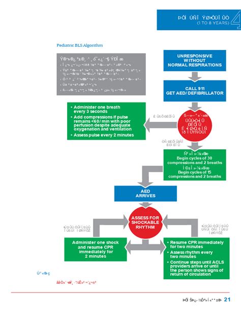 Pediatric Bls Algorithm Pdf Human Diseases And Disorders Public