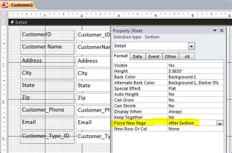 How To Print Form In MS Acccess IAccessWorld Com