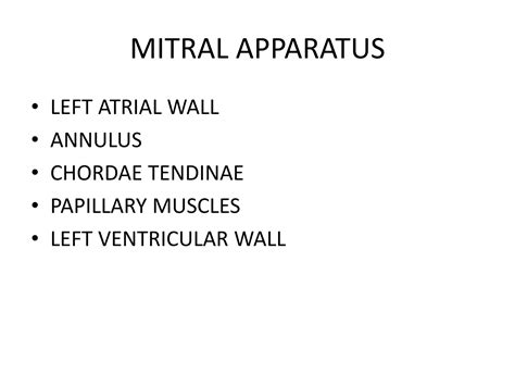 Mitral Valve Anatomy Ppt By Kunwar Sidharth PPTX Heart And Cardiovascular Diseases