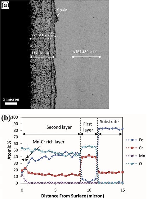 Cross Sectional Sem Image A And Eds Line Scan B Of An Uncoated