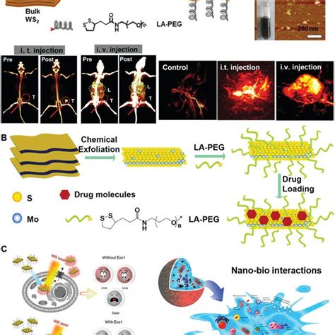 2d Mof Nanosheets For Imaging And Cancer Therapy A 2d Zn‐tcpp Mofs Download Scientific