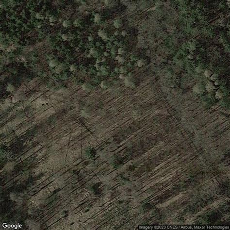 Extr Mn Ehlen Bizarn Sporty