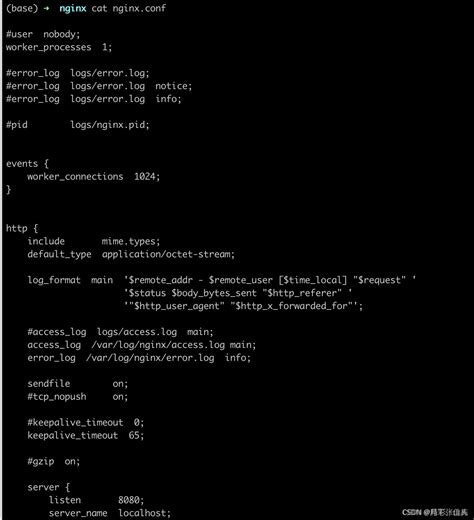 深入理解nginx：高性能服务器配置、应用与日志管理 csdn博客