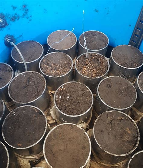 Bulk Density Is An Indicator Of Soil Health Bulk Density Is An Indicator Of Soil Health