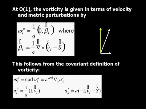 Vector Modes Vorticity And Magnetic Fields Kobayashi Rm
